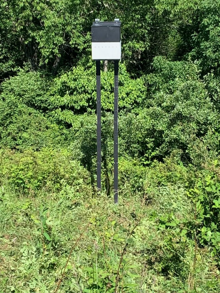 Bat boxes coming to Waynesburg - Herald-Standard